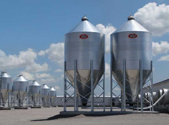 Automated Production Feed Storage – Buyer Insight – US